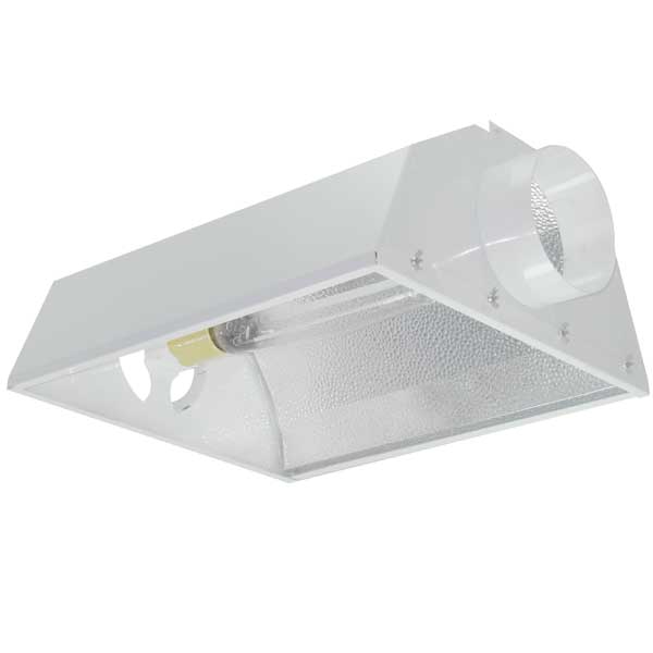 Malaysia Indoor Gardening: Lighting Tips For Indoor Gardening