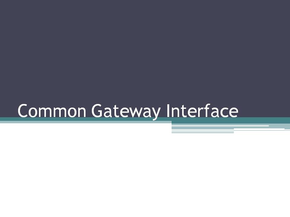 Seminar Topic: Common Gateway Interface | Engineering Students Corner