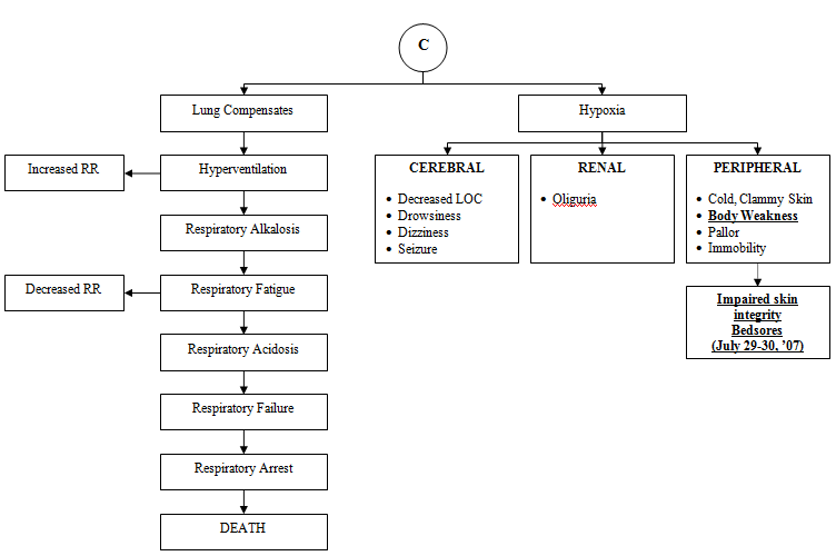 Acute Care: Nursing Care Plan For Acute Respiratory Failure