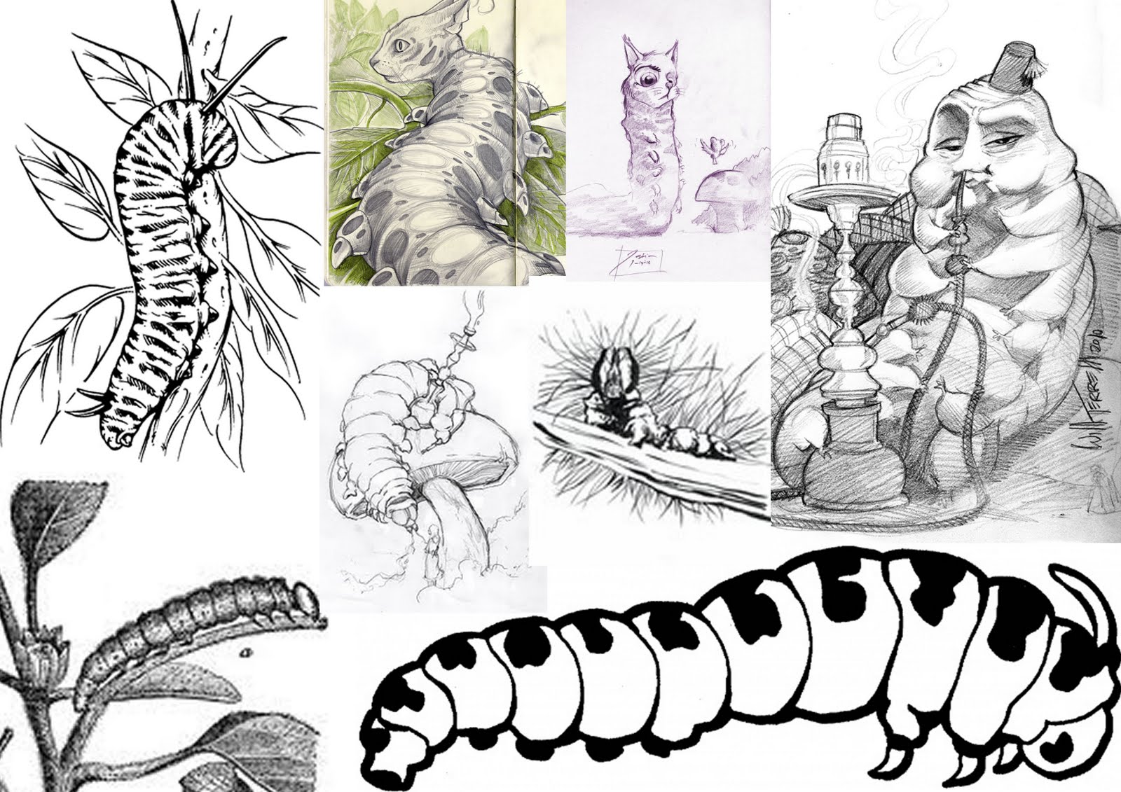 Victoria's interactive media experience: Caterpillar - Designing the ...