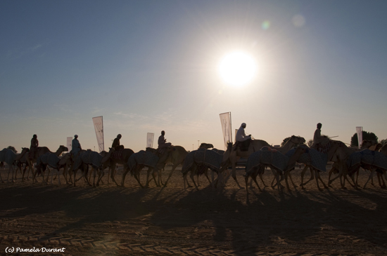 Life in the Middle East: The Dubai Camel Races