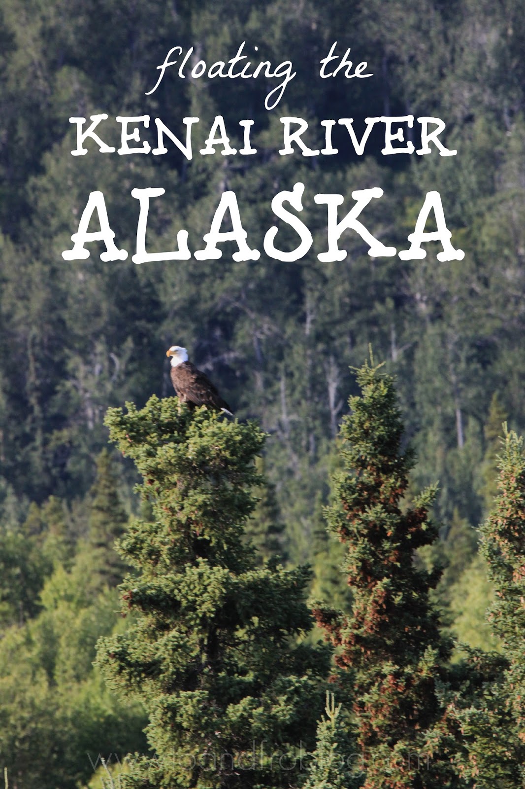 Rafting Down the Kenai River, Alaska | To & Fro