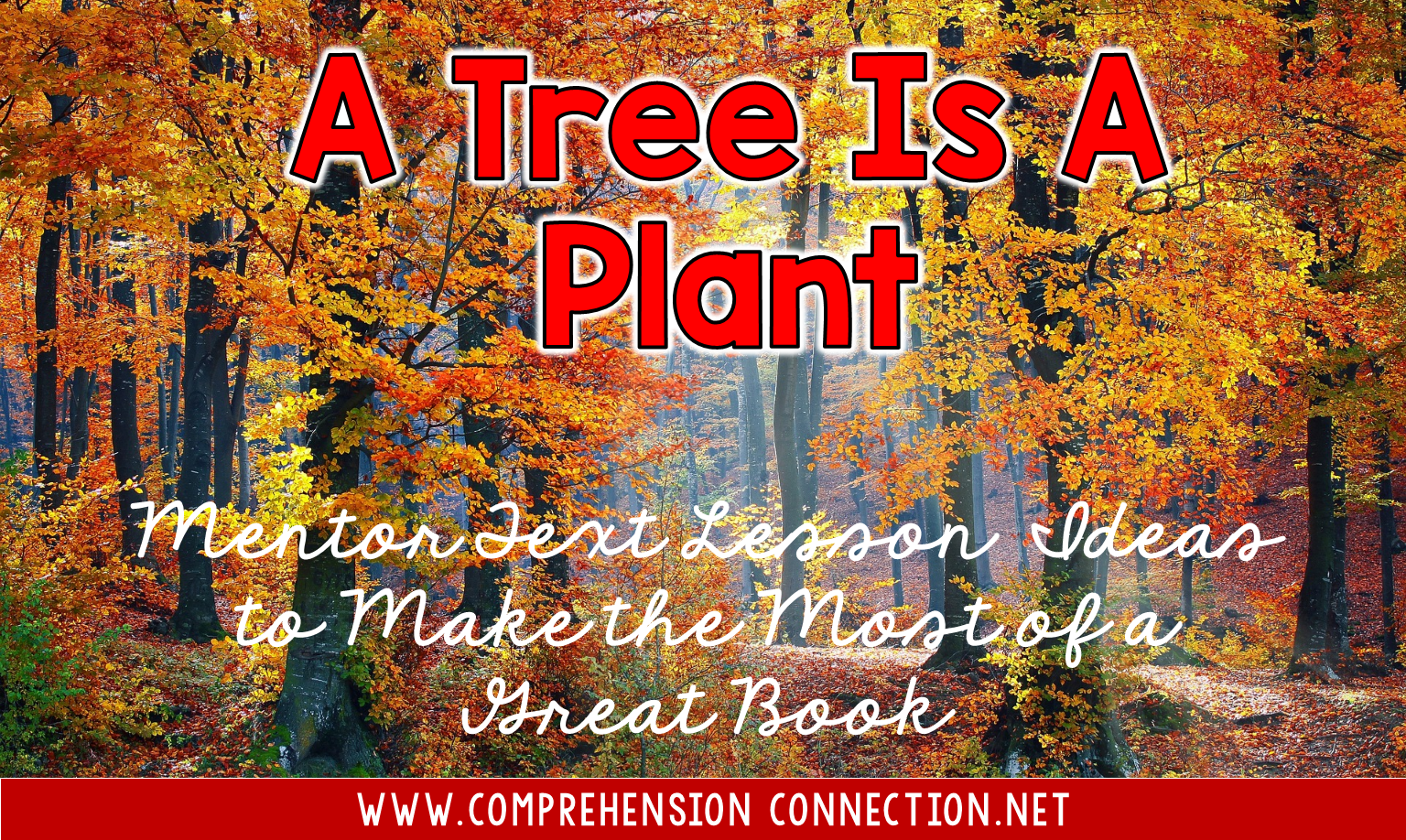 Using A Tree is a Plant as a Mentor Text - Comprehension Connection