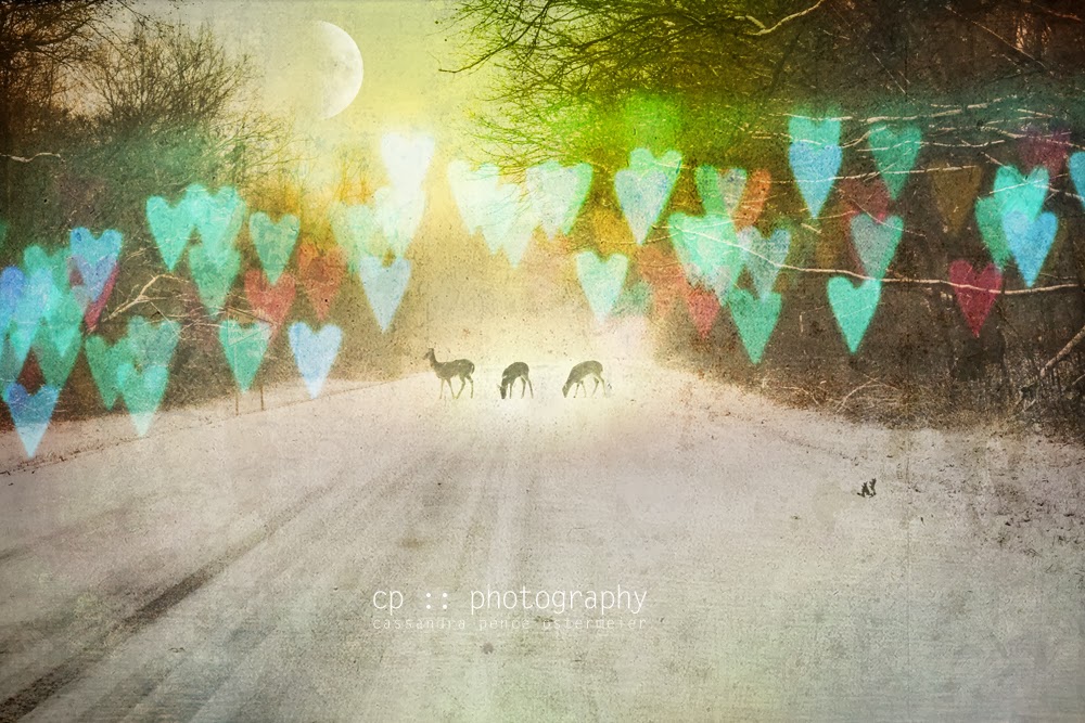 sassafras: having fun :: composite photography sassafras: having fun :: composite photography