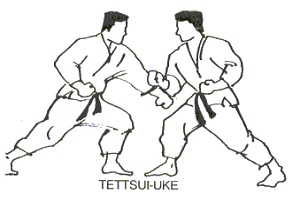 KARATÊ-DO: TÉCNICAS DE DEFESA