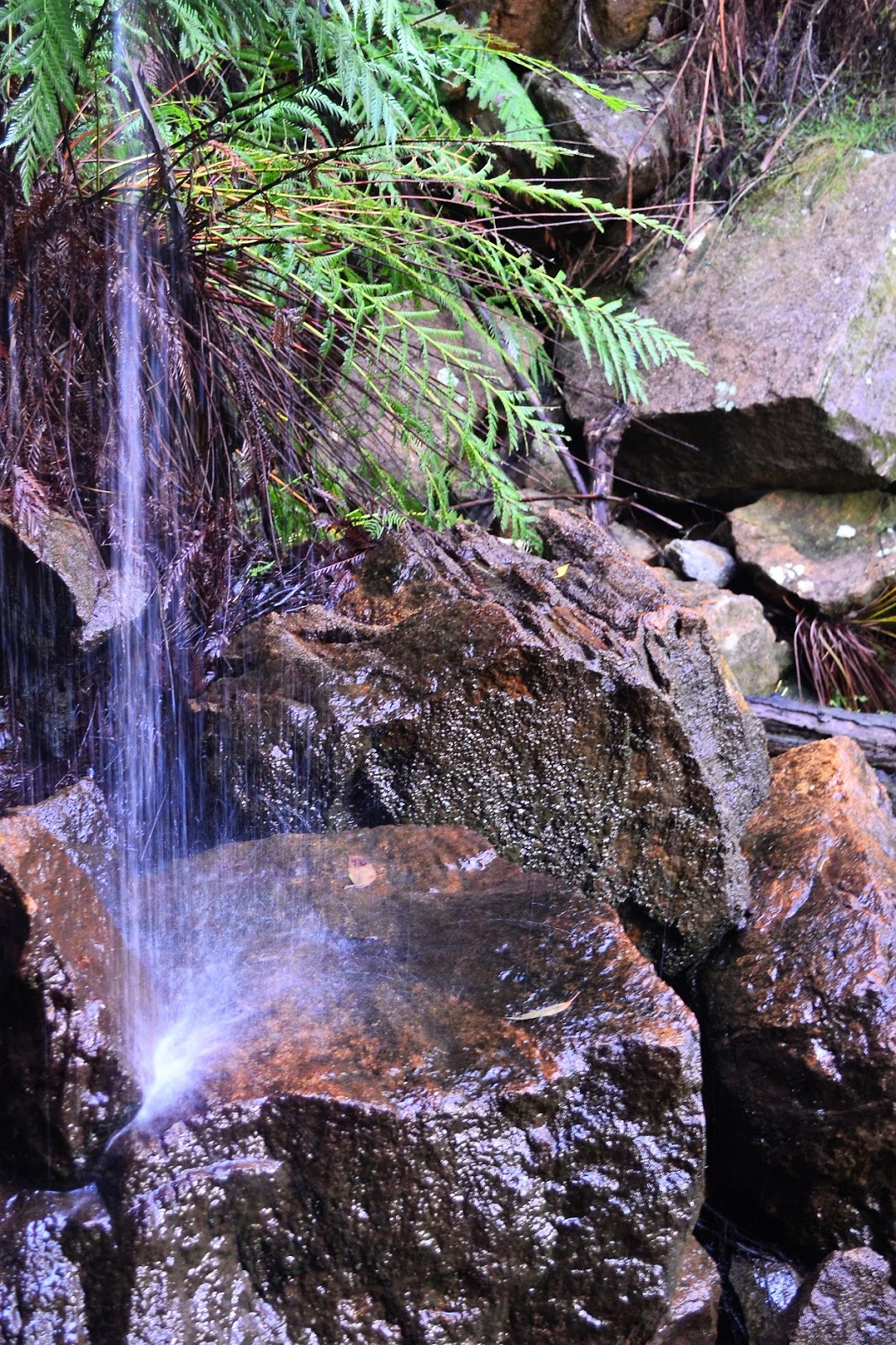 Goin' Feral One Day At A Time: Ironbark Gorge & Currawong Falls, Great ...