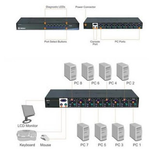 LAN (Local Area Network): Switches are the backbone of your LAN