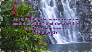 Sabrina's - "Journey Through GOD'S WORD in a Year": Weeks 41 and 42 ...