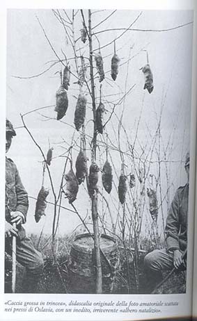 World War I Bridges - WW1 Centenary from the river Piave: Photos of ...