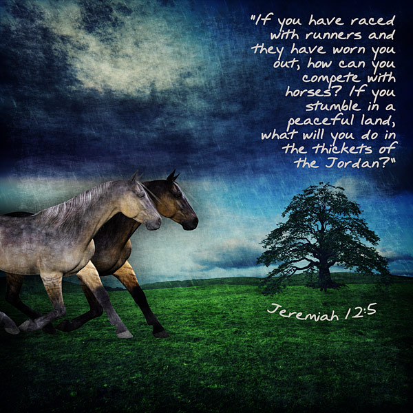 Layout for Today: The Race