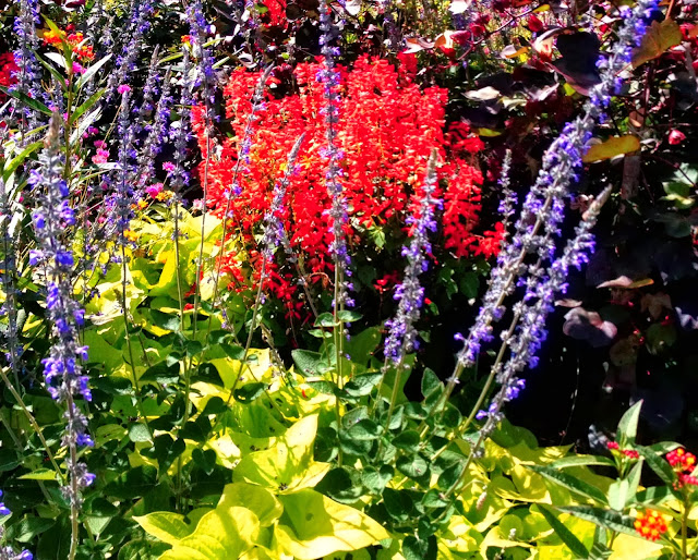 Pearl of the Pee Dee: ColorFall at Moore Farms and Botanical Gardens