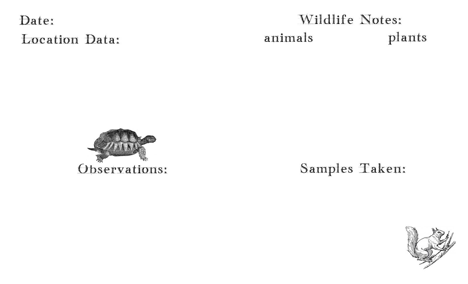 Different Dog - A Simply Beautiful Life: Wild Kratts Field Journal ...