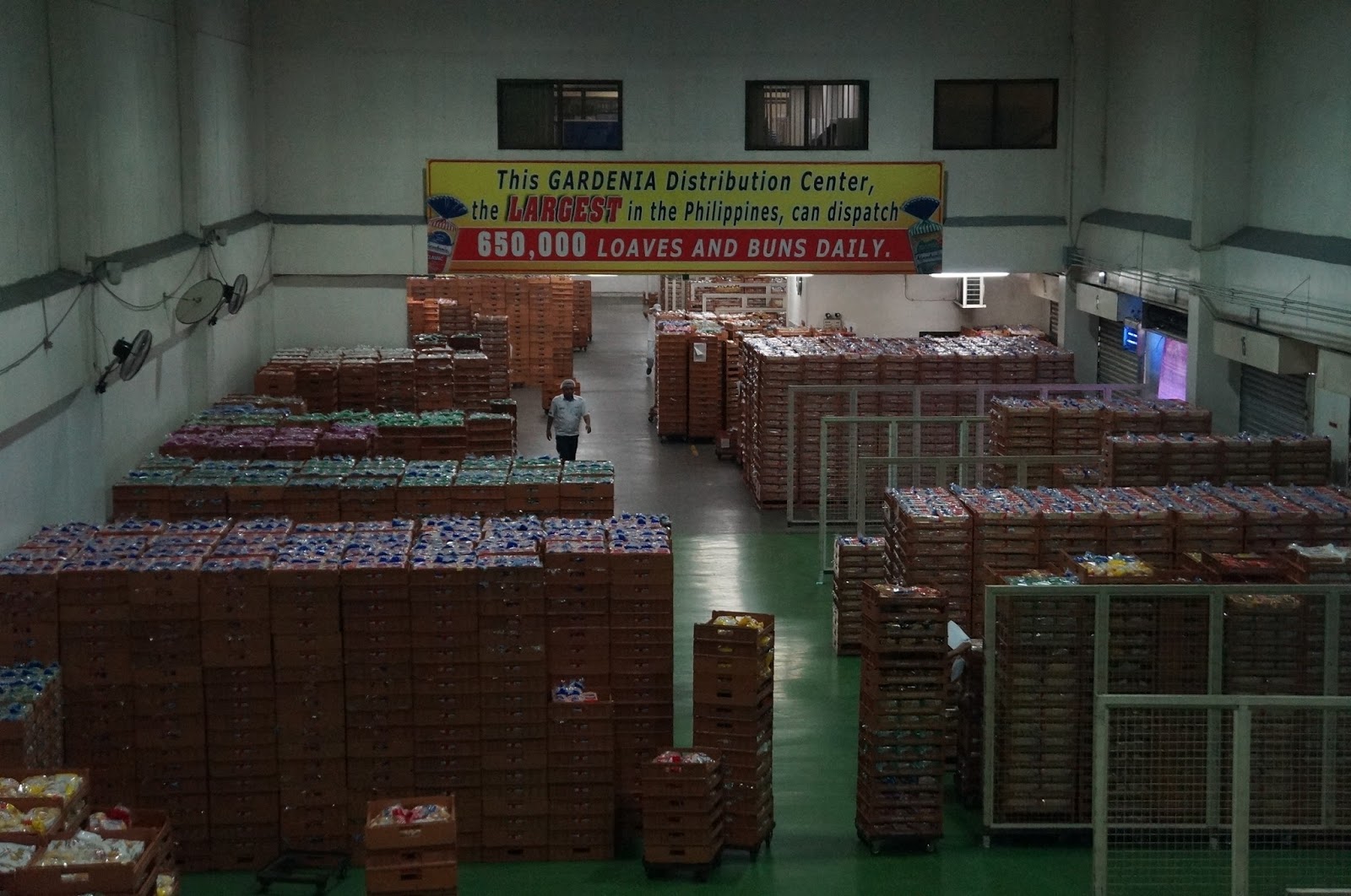 Gardenia Plant Tour in Laguna ~ Wazzup Pilipinas News and Events