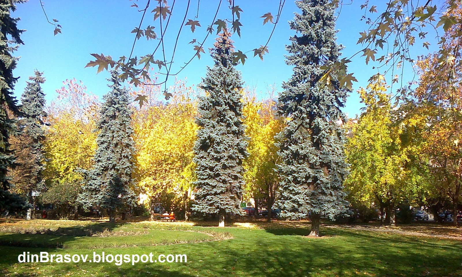 din Brasov: Toamna prin parcul central [poze]