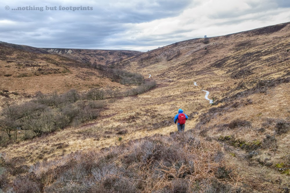 ...nothing but footprints: Ravenscar, Harwood Dale & Jugger Howe (North ...