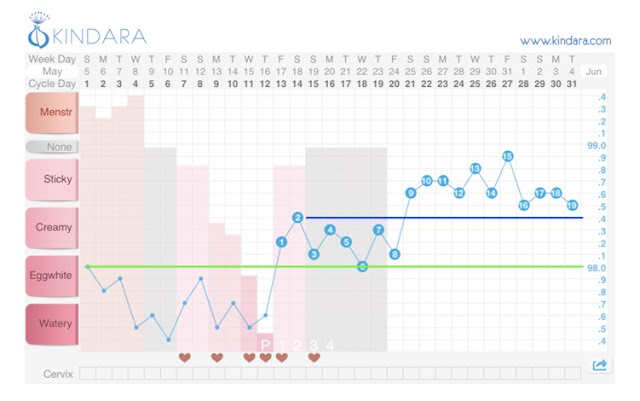 The Ranch Librarian: Fertility Nitty Gritty, Part One: Kindara and the ...