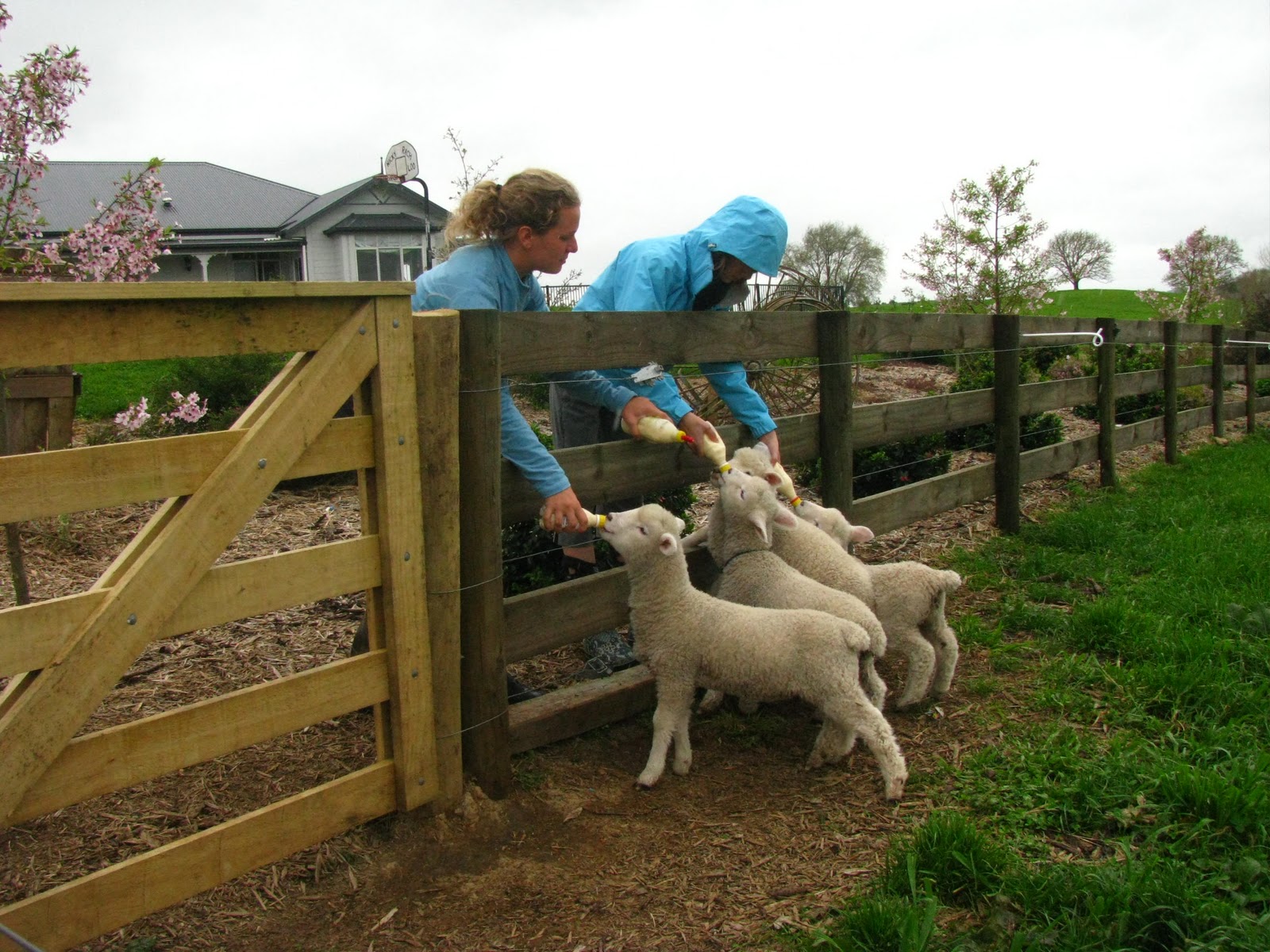 Passport to Learning