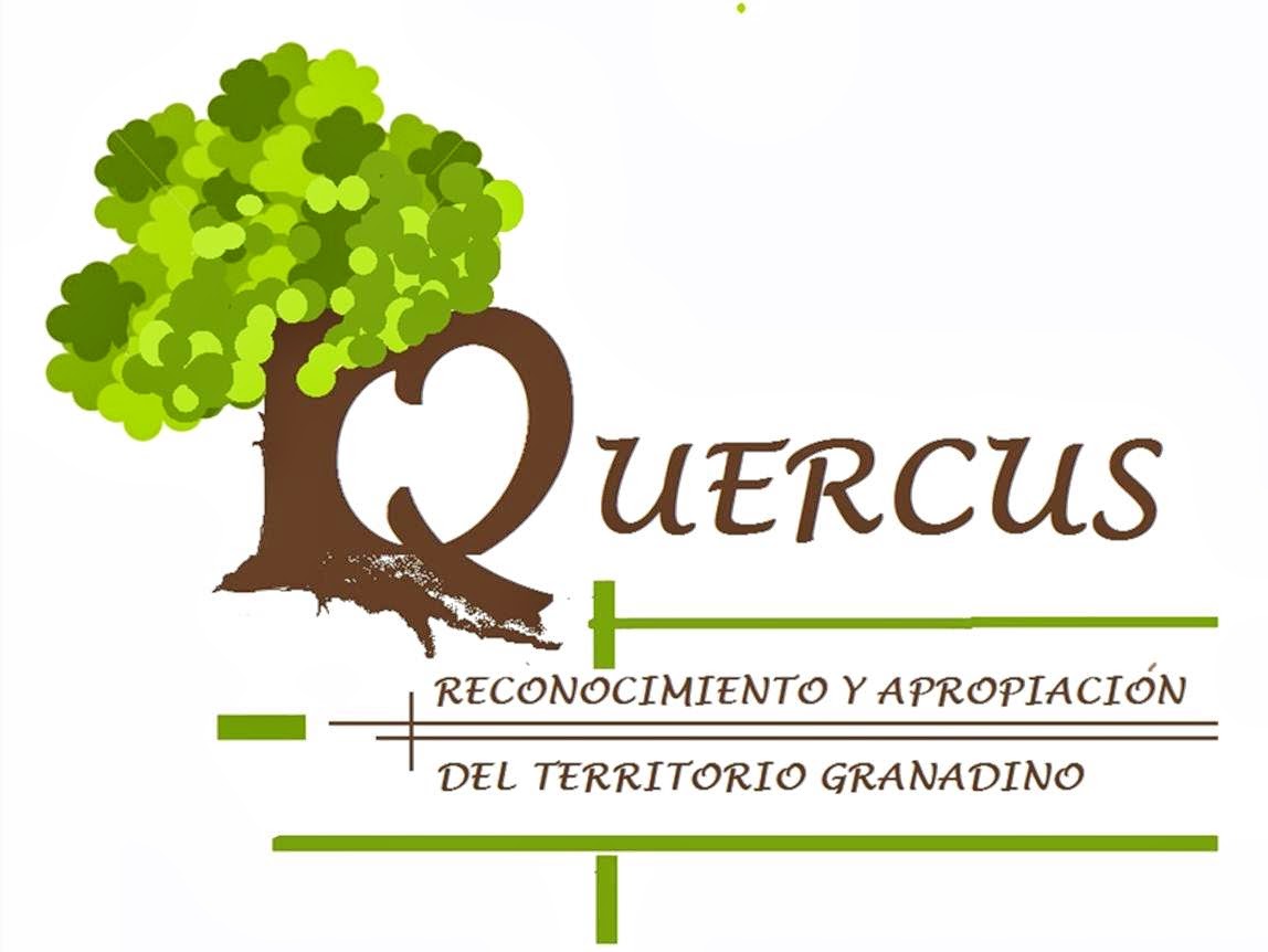 PROYECTO QUERCUS: PAGINA PRINCIPAL INDICE