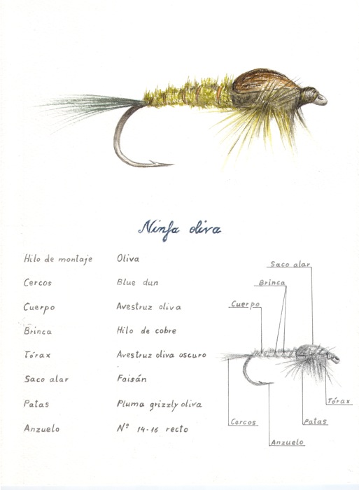 Artificial flies for fishing drawings and paintings: Dry flies, nymphs ...