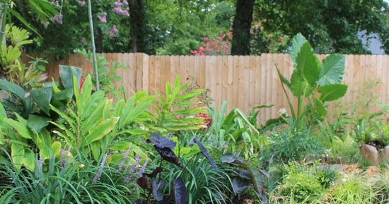 The Rainforest Garden: 7 Ways to Fix an Ugly Garden with Plants