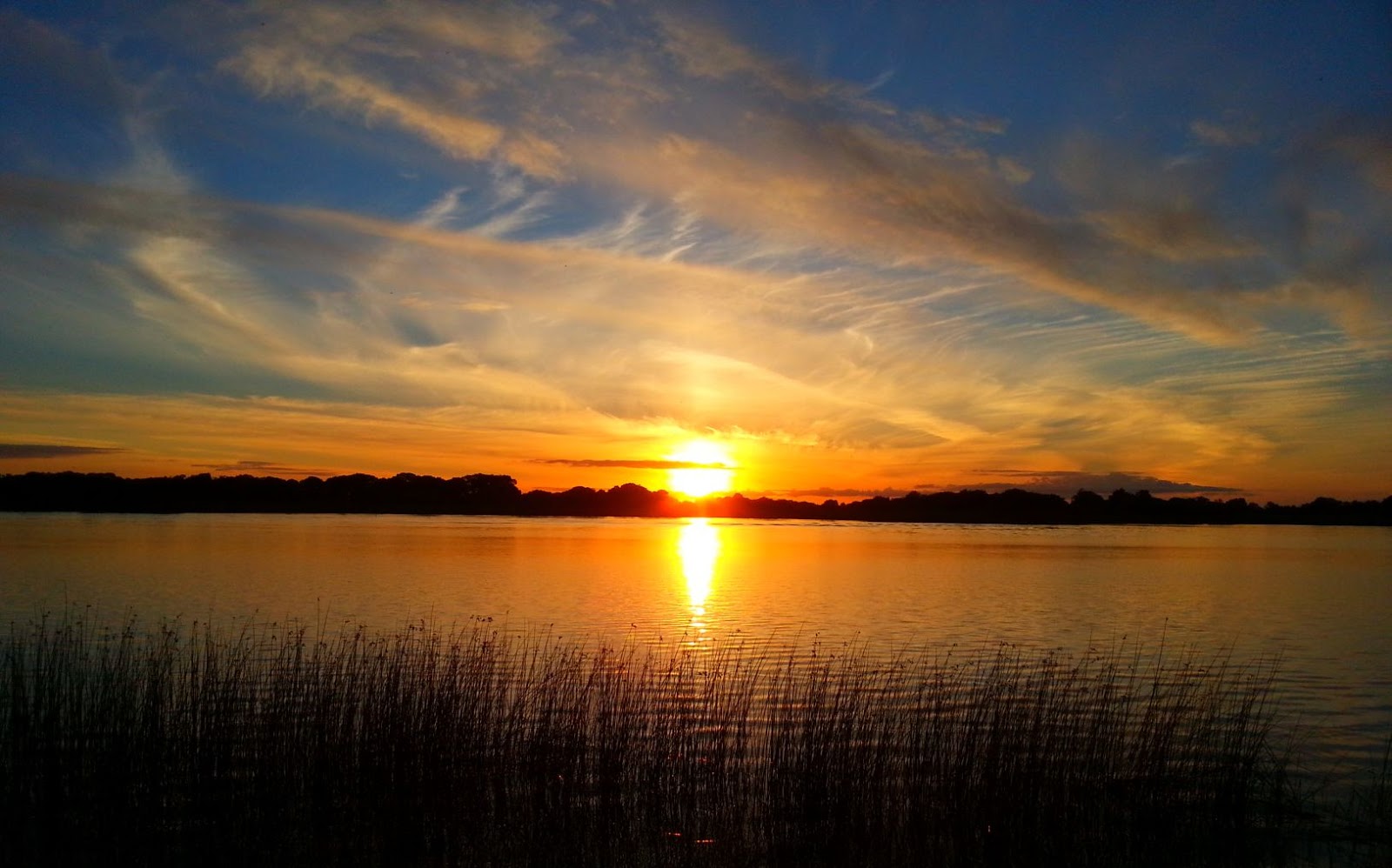 antonalyptic: Lough Ree