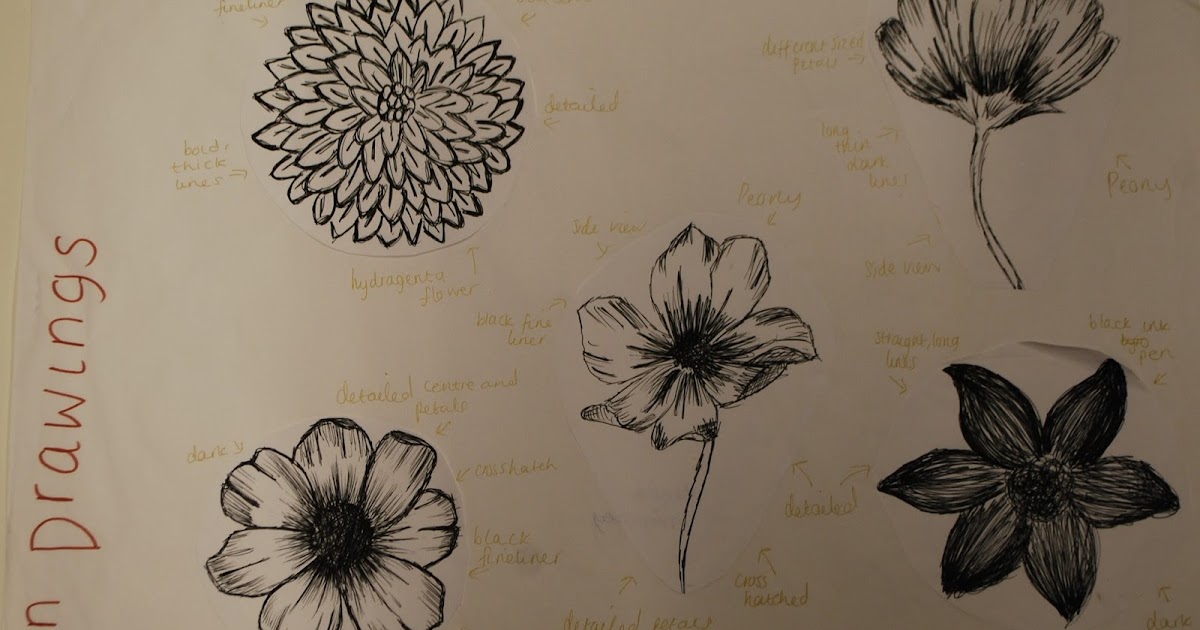Botanical - Pen Drawings