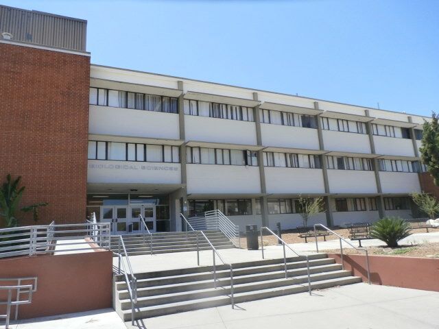 Adventures in Weseland: A Walk Around Cal-State Los Angeles