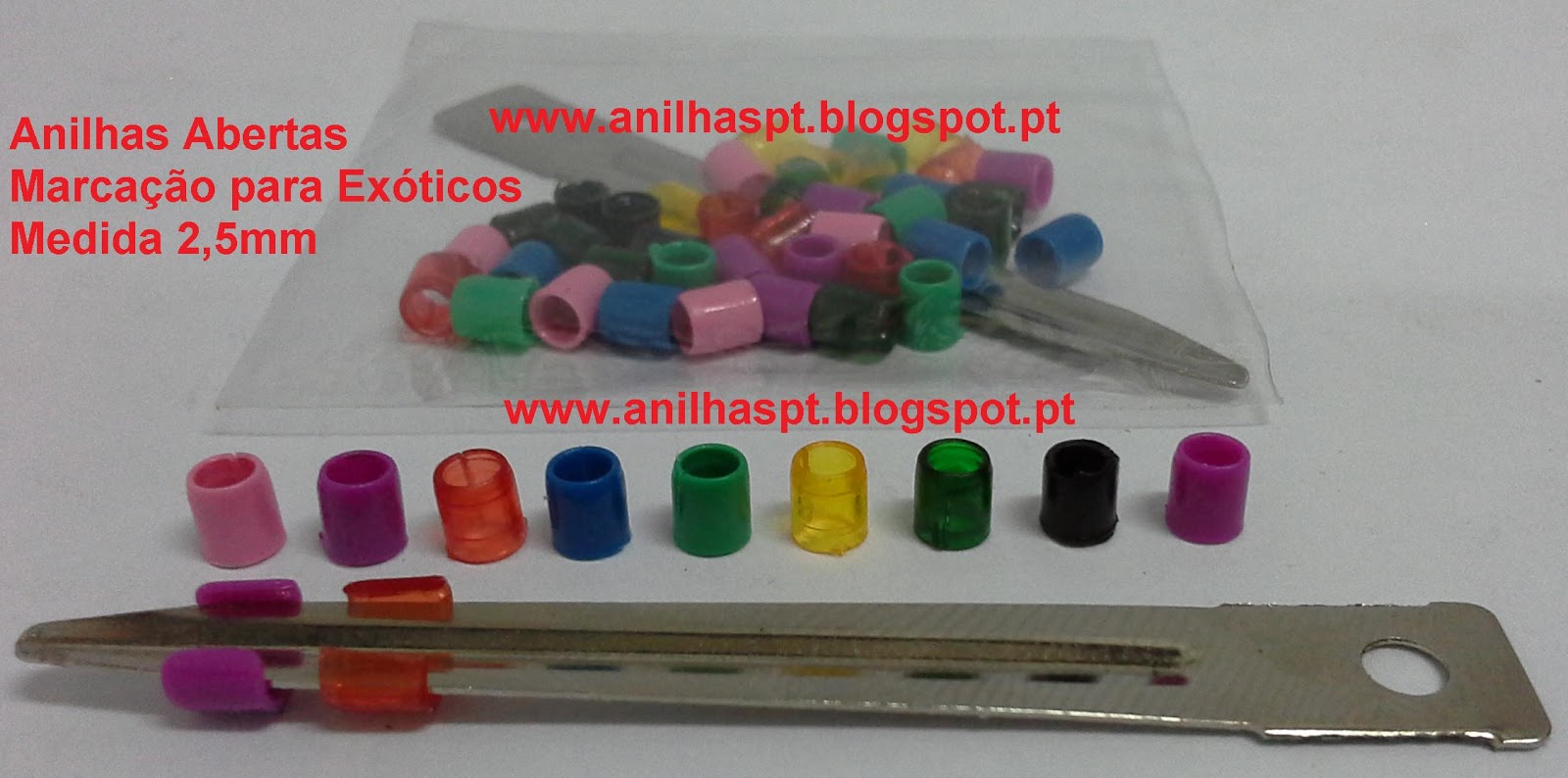 PM ANILHAS: ANILHAS ABERTAS