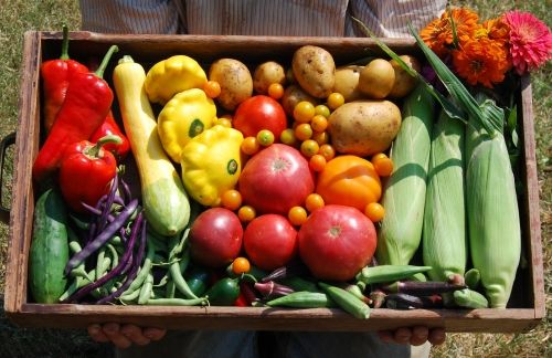 Here & Now | A Denver Style Blog: farm fresh