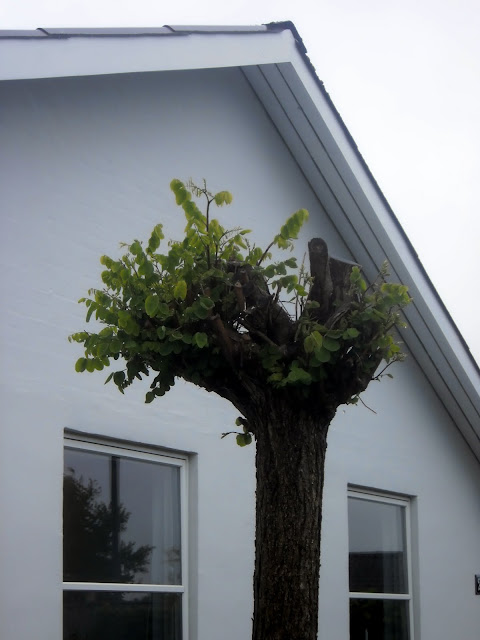 Patchwork-blomsten: Endnu en pause :o(