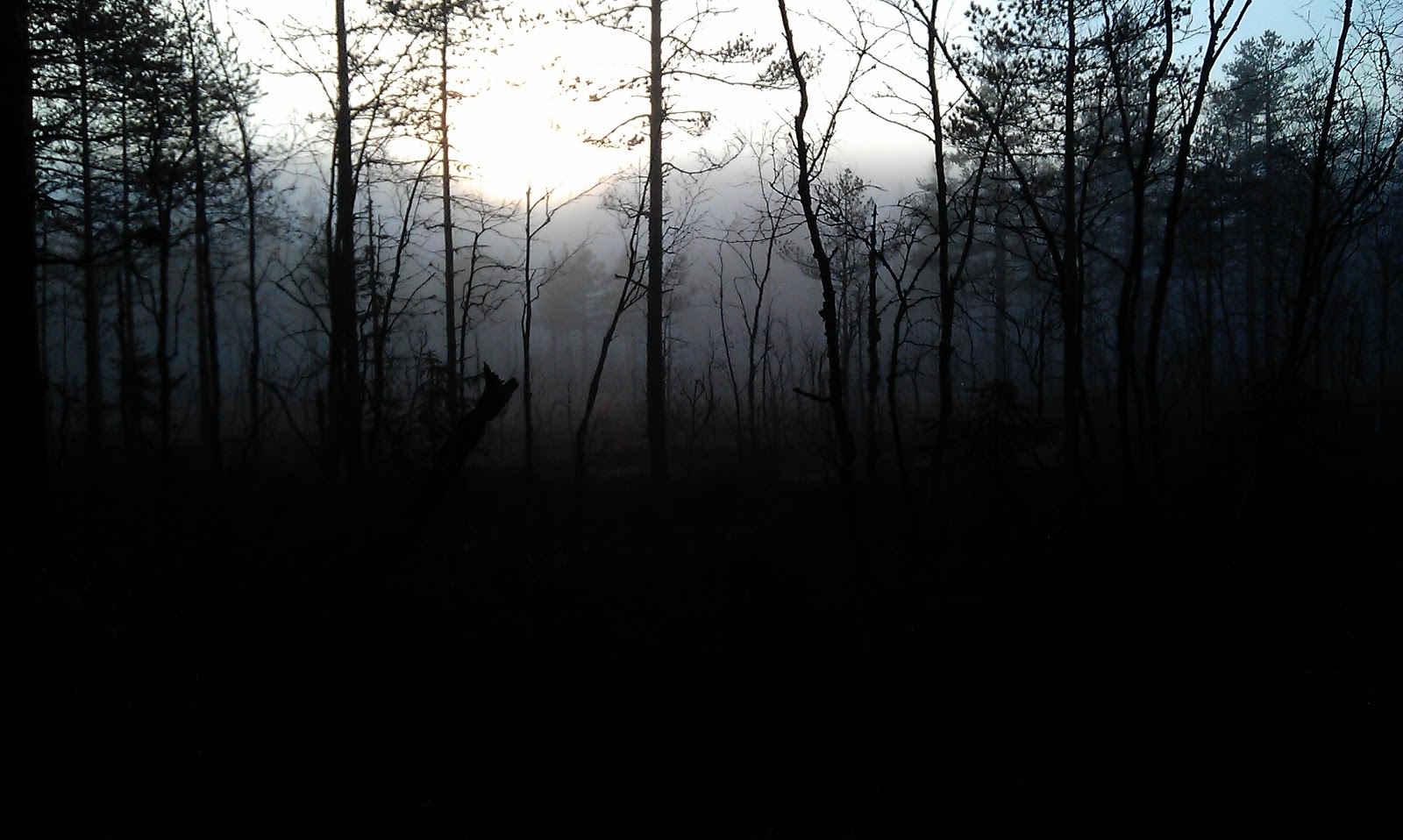 LUDDE TVILER: Vi som elsker skogen: November, Nordmarka