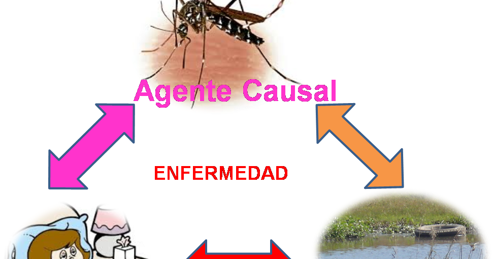 SONRÍE SIN MIEDO Y FELIZ: NIVELES DE PREVENCIÓN DE LEAVELL Y CLARK