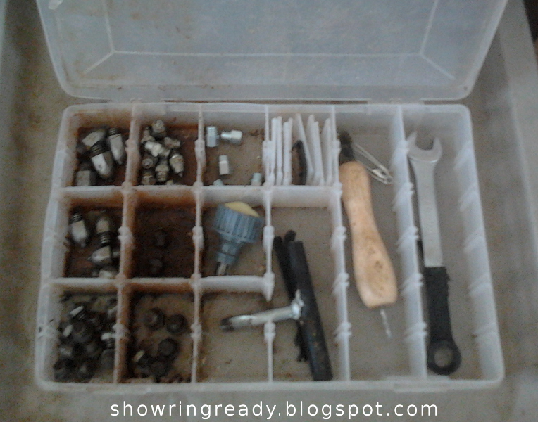 Show Ring Ready: Studs 101