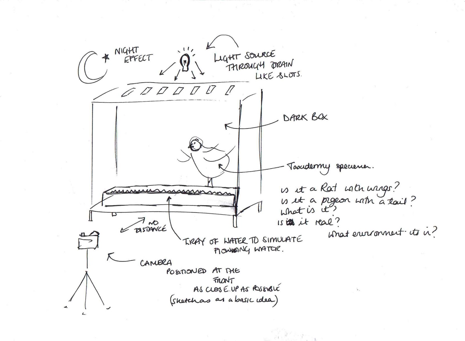 Alice Munro: Inspired by David Curtis - Ring