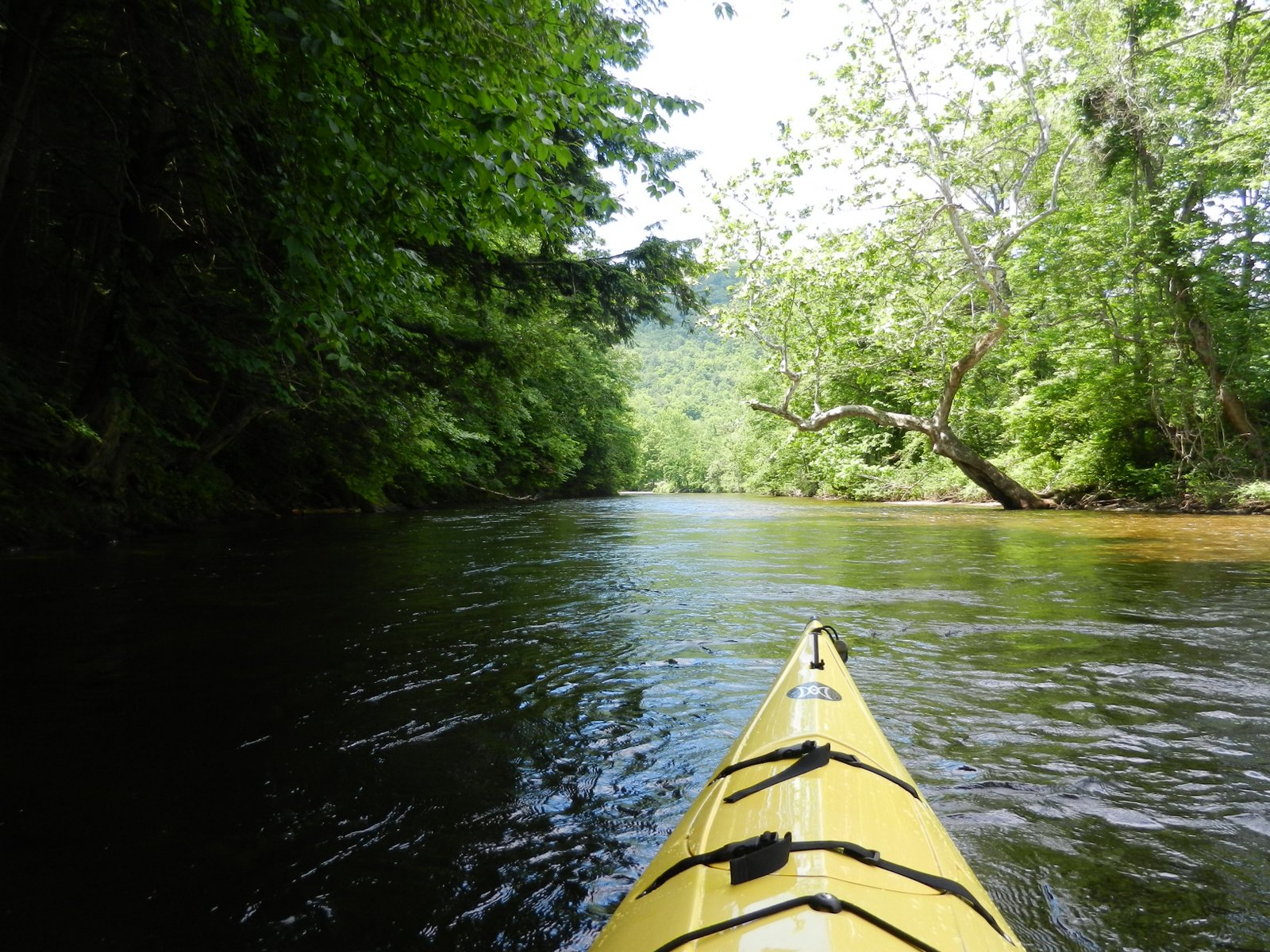 Off on Adventure: Kayaking the Battenkill River - 6/10/12