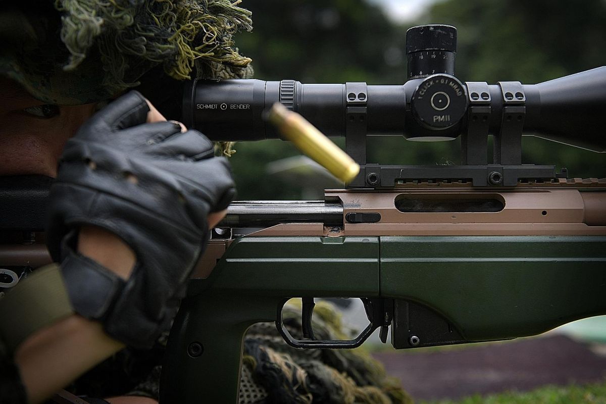 toyhaven: Feature: One shot, one kill - On target to be better snipers ...