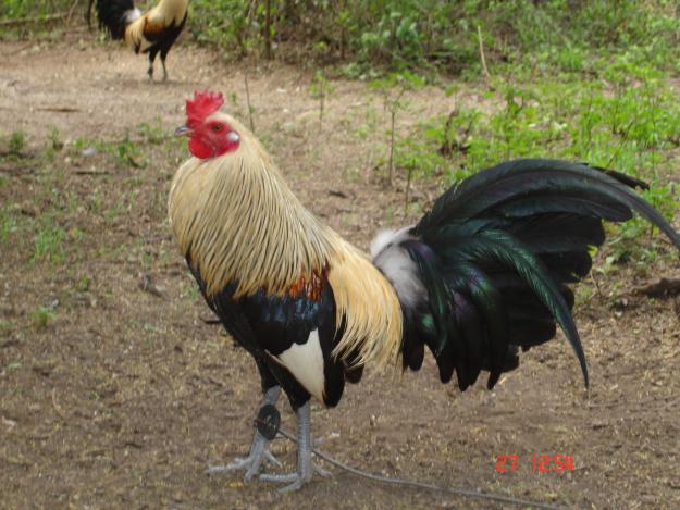 ALBÚM | Factores de la biodiversidad en México