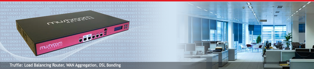 load balance broadband router