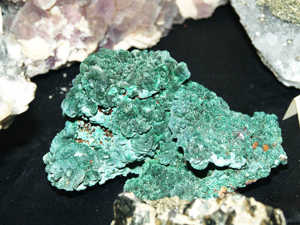 FARMAKOLOGI "Dian Husada": Definisi Mineral