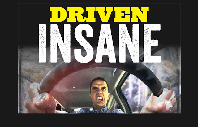 Driven Insane [Infographic] - Visualistan