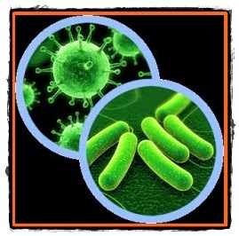 CLASA NOASTRĂ: Bacterii, virusi si boli provocate