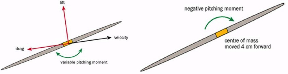 HLPE3531 Biomechanics Blog