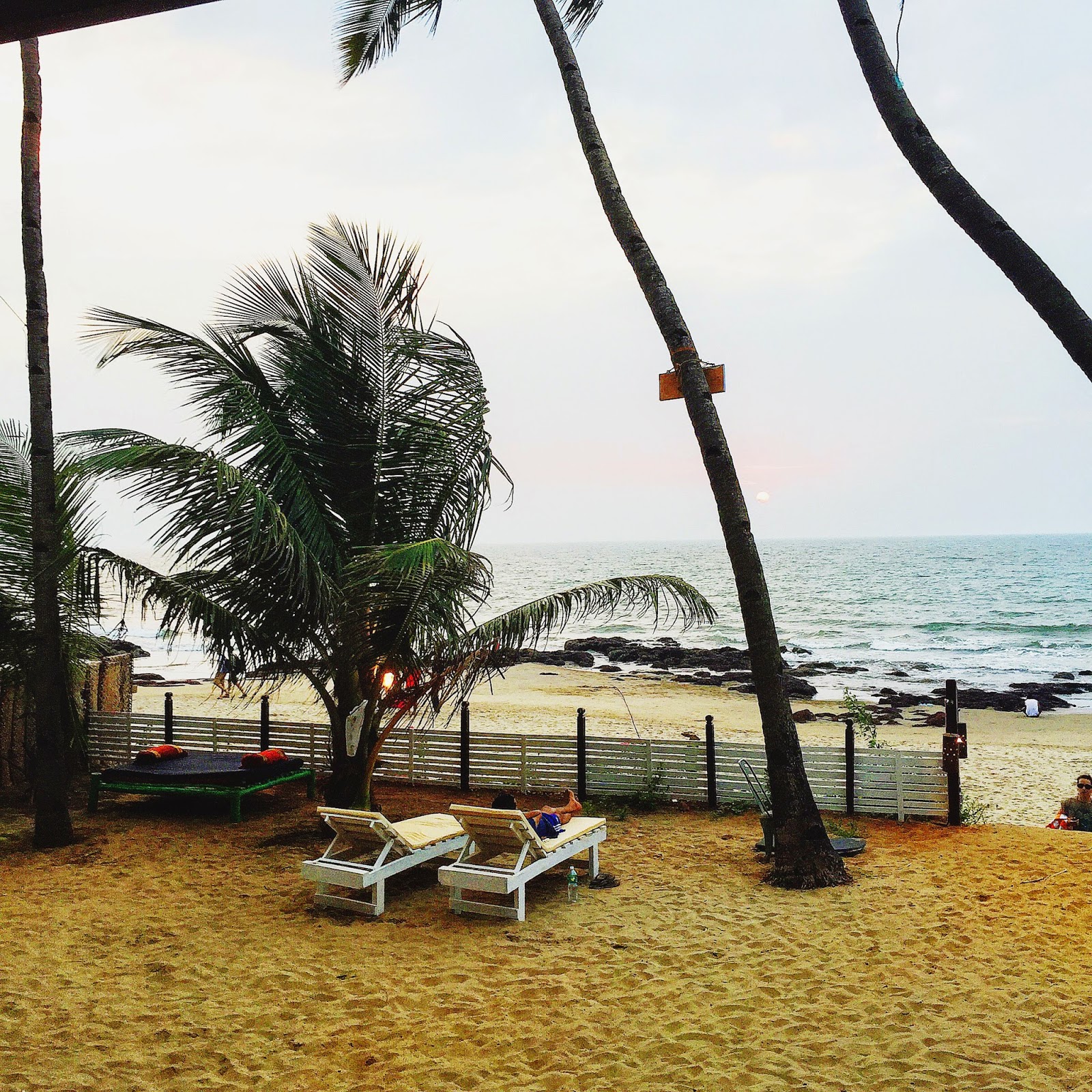 PEACE LOVE YOGA: Purple Valley Highlights - Goa, India