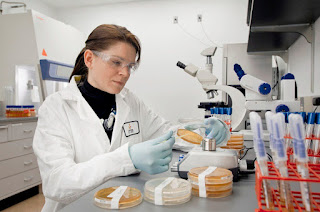 Careers in Microbiology: Where Do Microbiologists Work And What Do They Do?