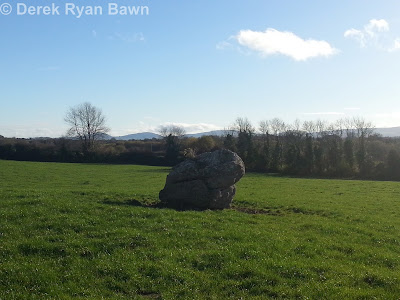 The Tipperary Antiquarian: The Cats Stone of Tipperary