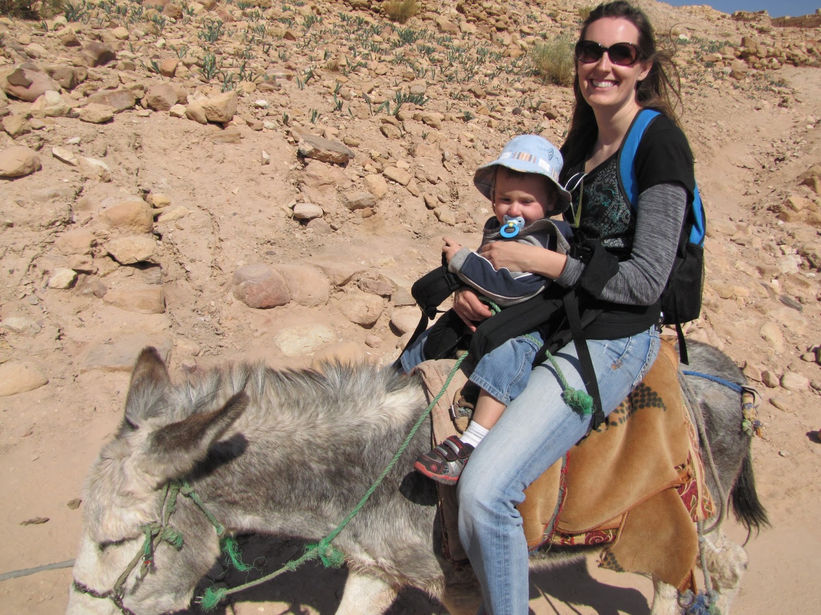 There and back again, A Harding's Tale.: Donkey ride 2/17/13