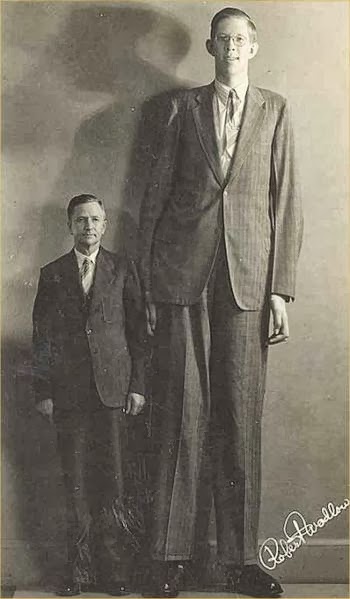 WHO IS THE WORLD'S TALLEST MAN |The Garden of Eaden