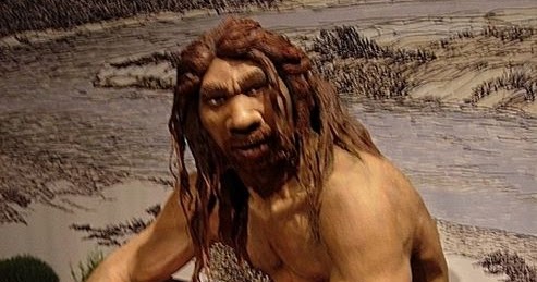 Arya Education: ADIMANAV IMAGE