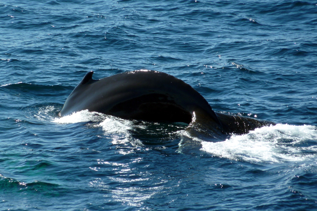 Another Side of this Life: Arctic Journey: Atammik and Fjords