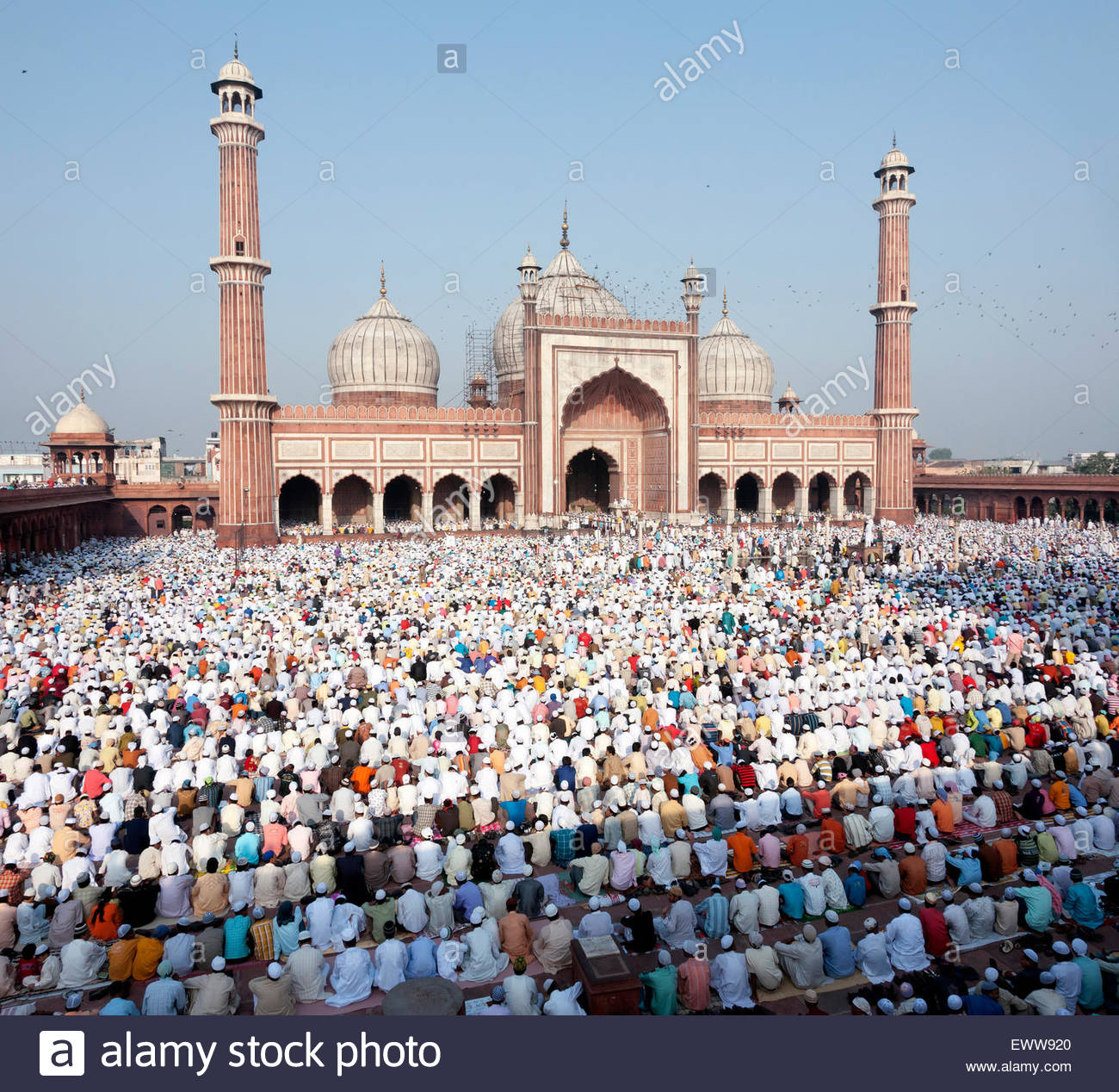 Eid Ul Adha, one of the greatest festival of muslims - Focus Engr. & Cons.